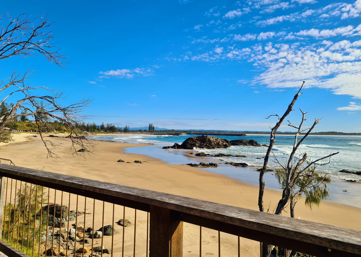 Port Macquarie Tourism Guide — Beaches, Wildlife & Transport | Port ...